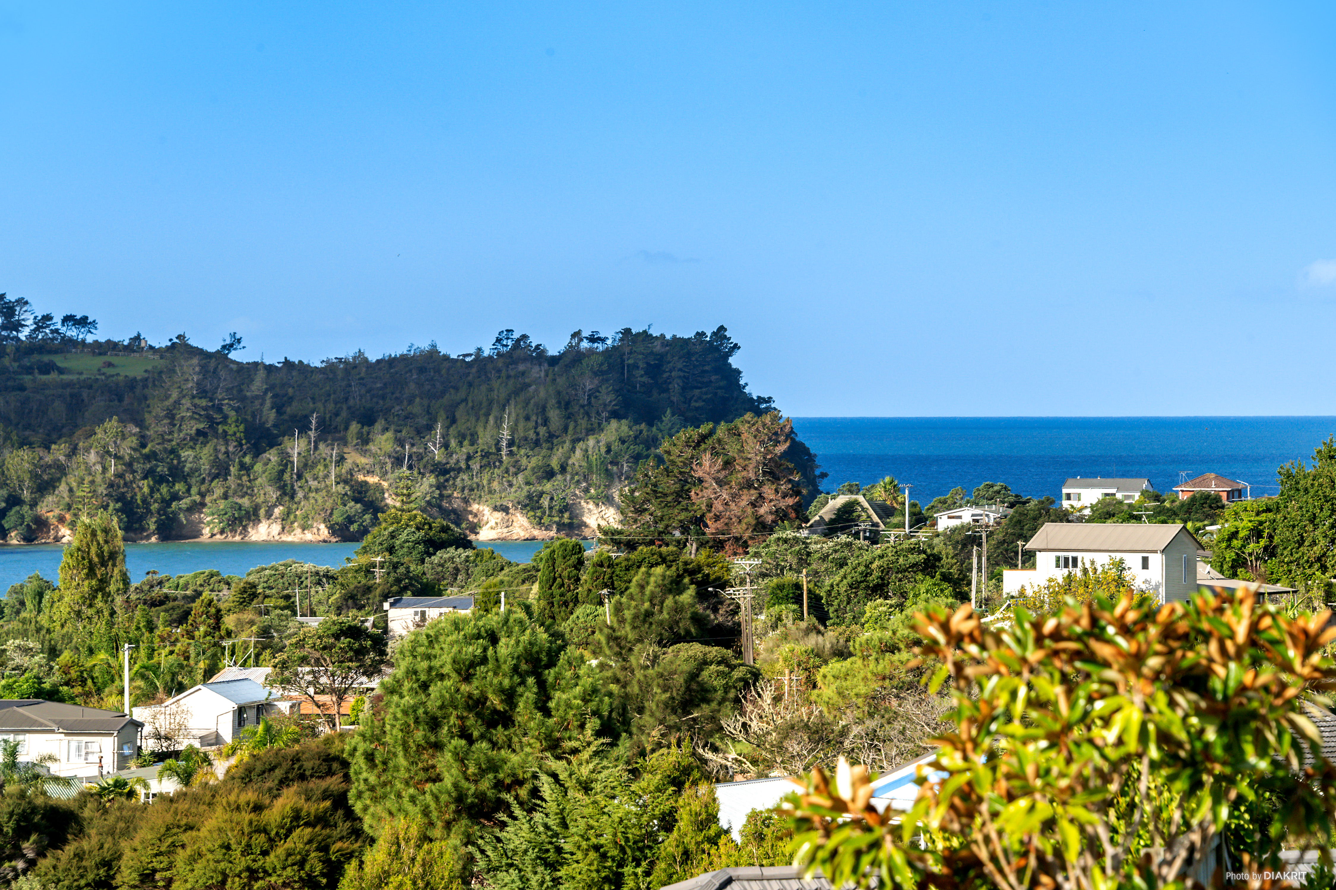 Ben Teagle, Branch Manager | Barfoot & Thompson