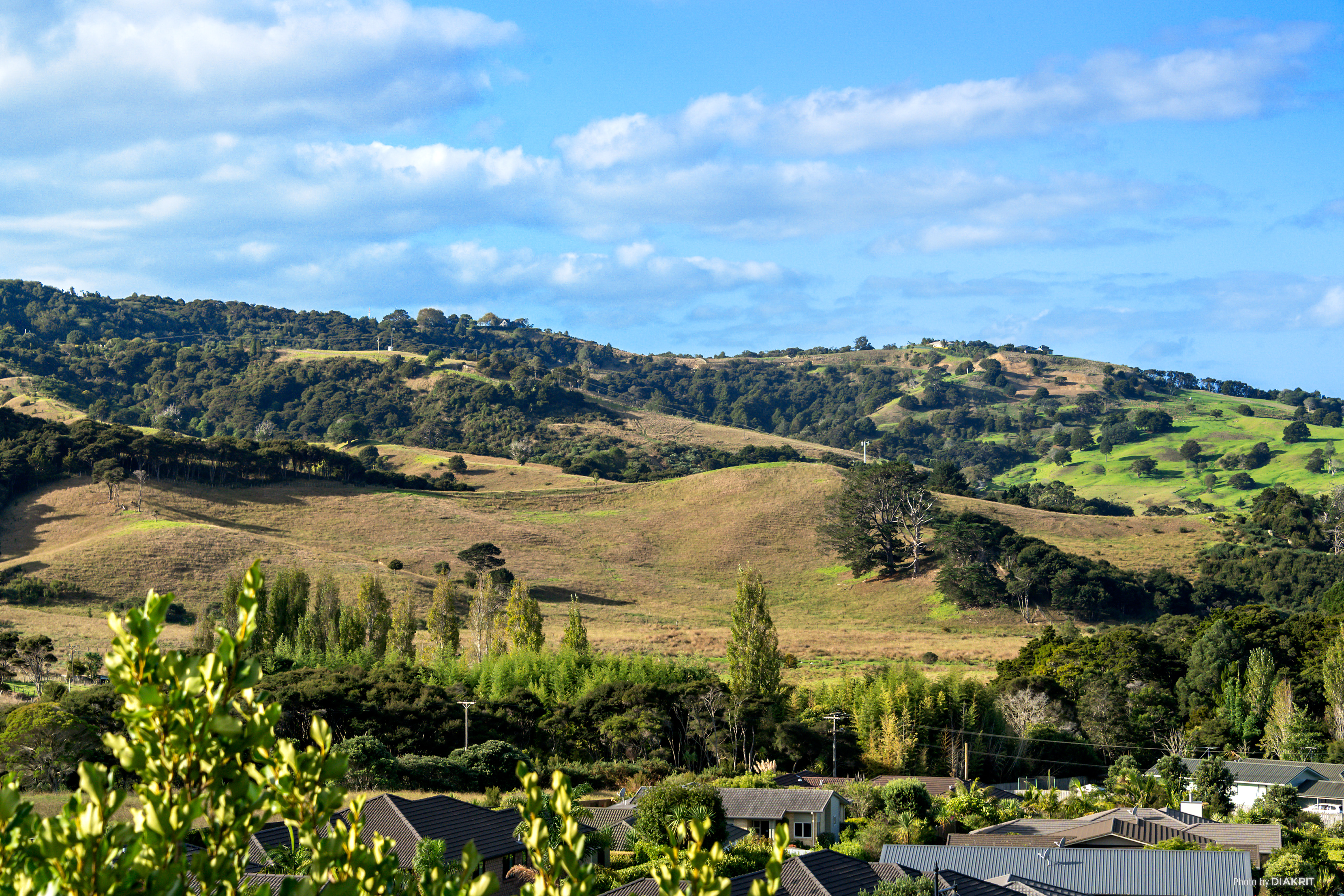 Ben Teagle, Branch Manager | Barfoot & Thompson