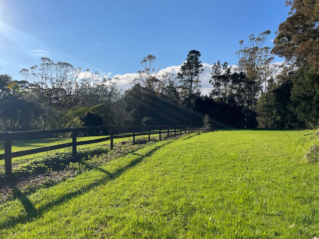 Sold Lot 2 / 490 Paremoremo Road, Paremoremo Mar 2022 | Barfoot & Thompson