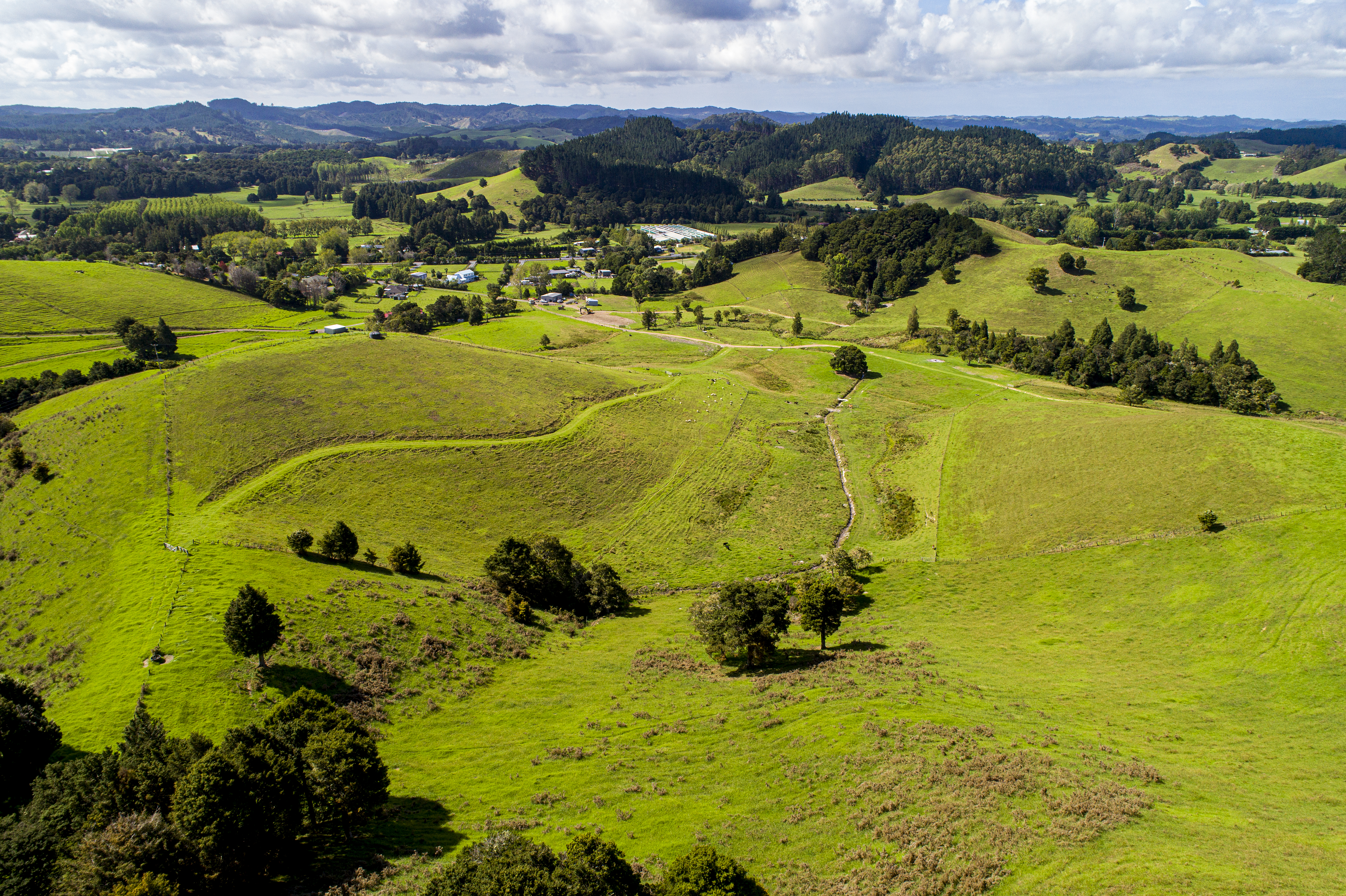 New Zealand Rural Properties for Sale | Barfoot & Thompson