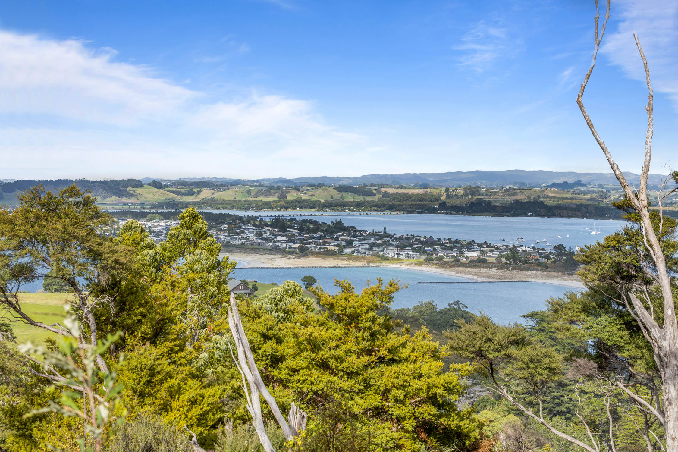 James Doole, Residential/Lifestyle Sales | Barfoot & Thompson