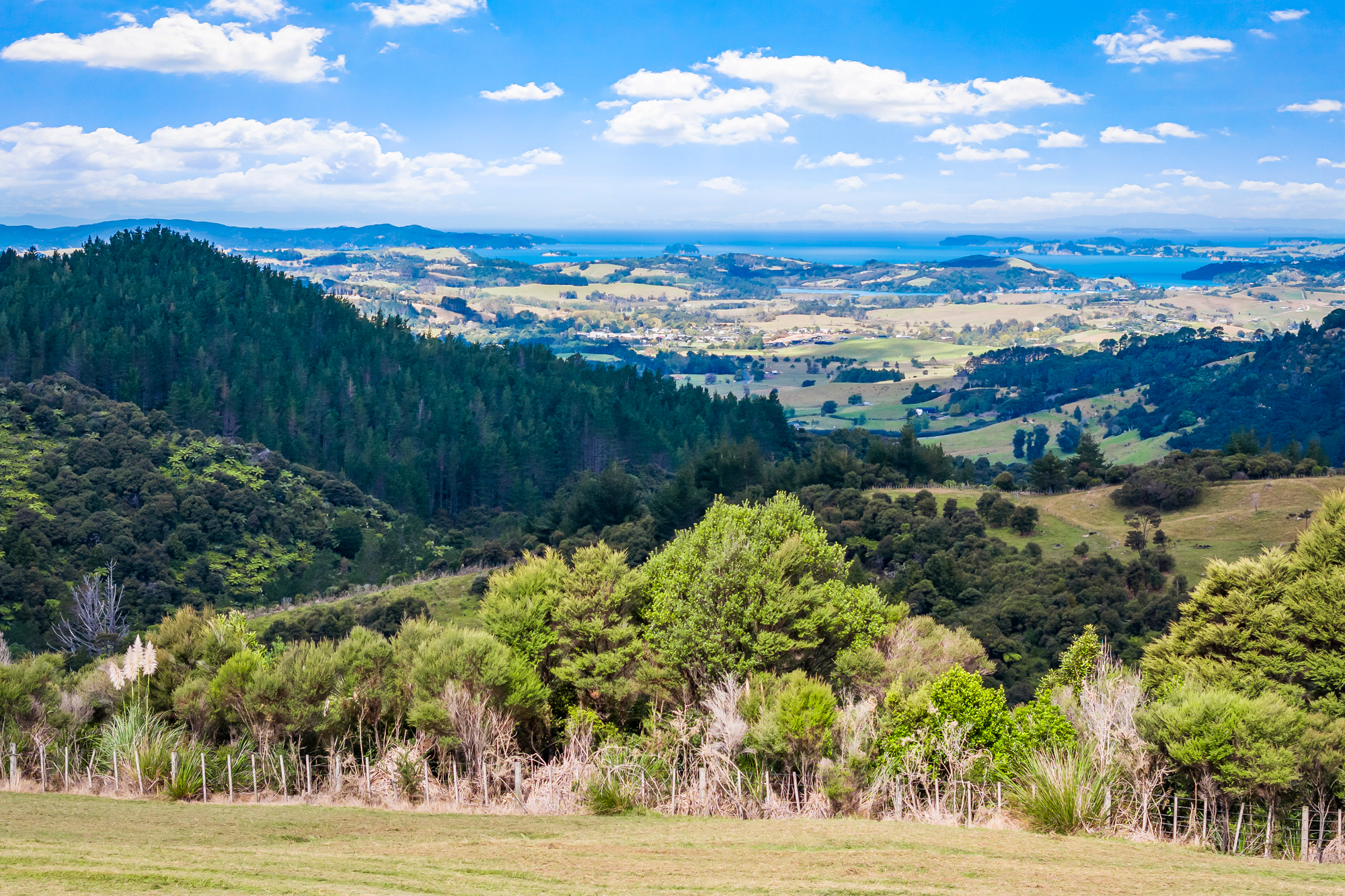 James Doole, Residential/Lifestyle Sales | Barfoot & Thompson