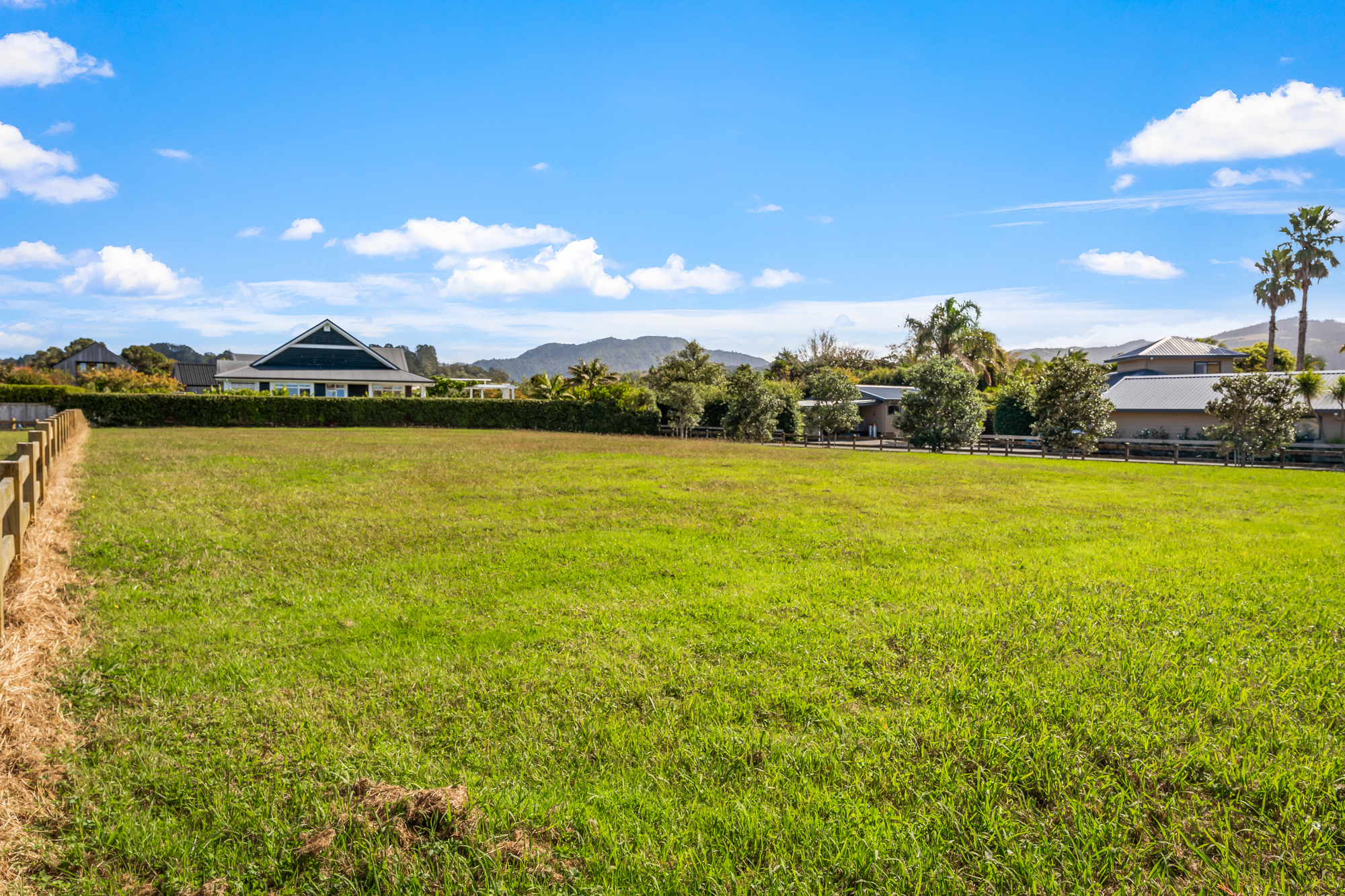 James Doole, Residential/Lifestyle Sales | Barfoot & Thompson