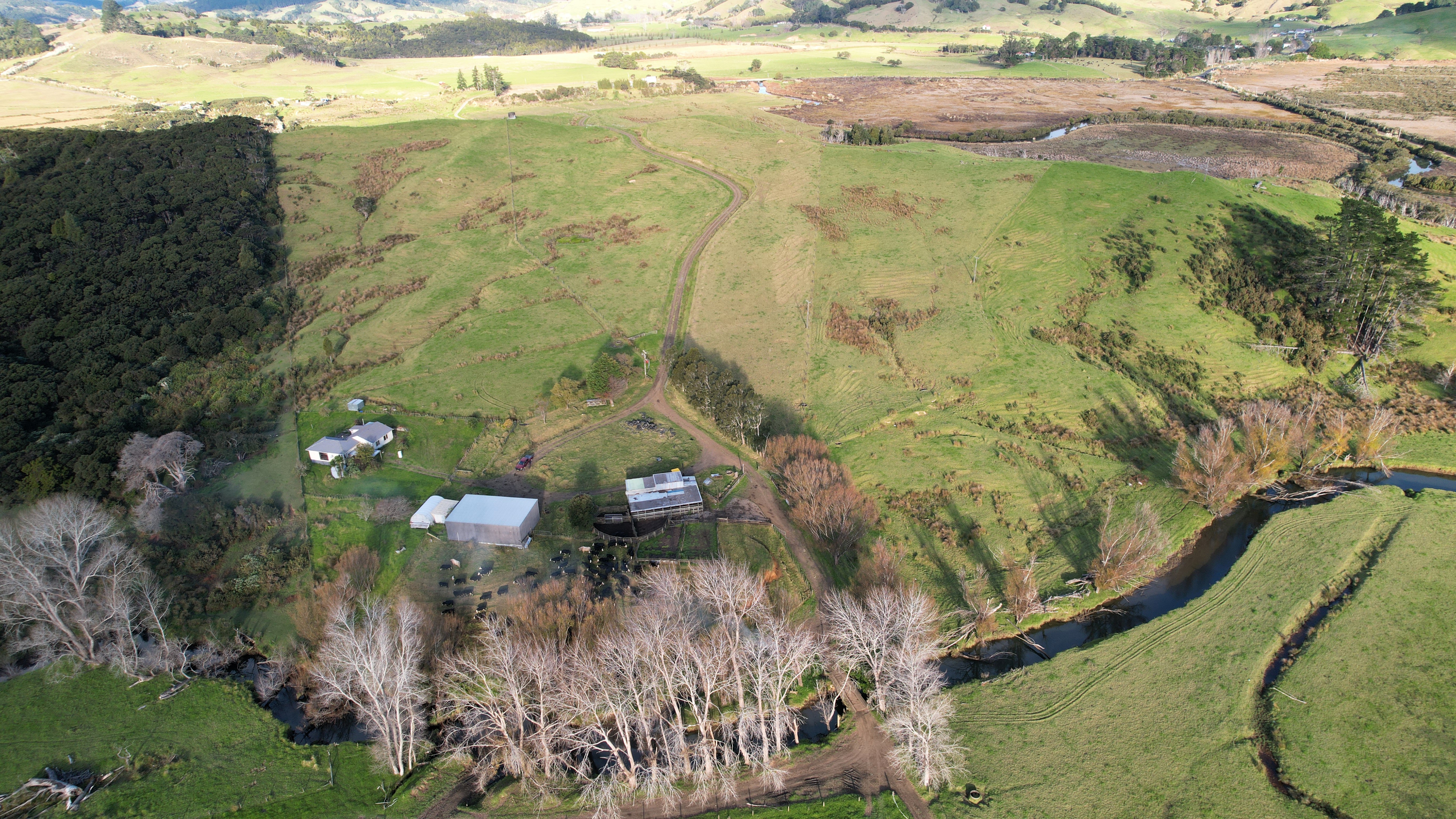 Rural Properties For Sale In New Zealand | Barfoot & Thompson