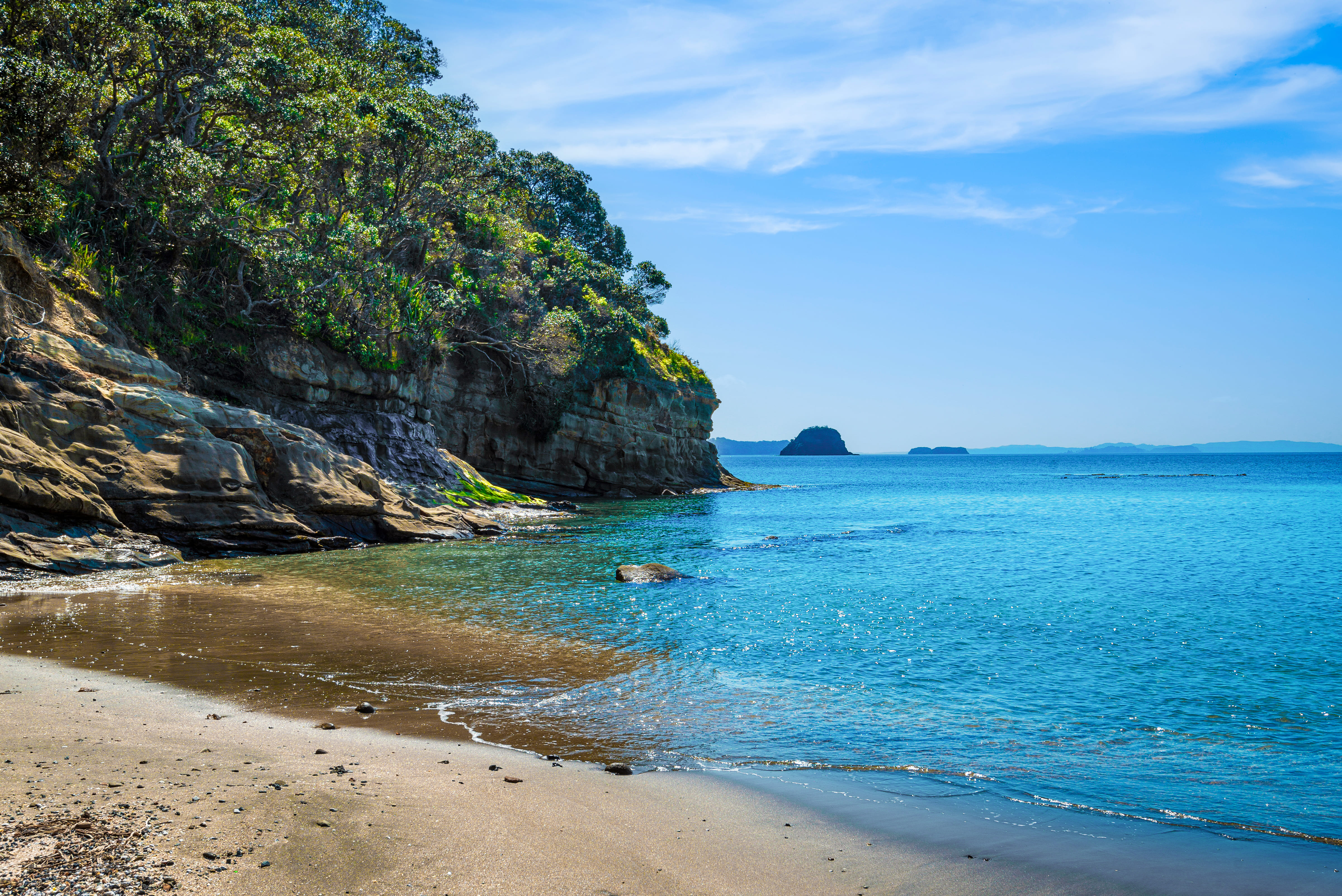 James Doole, Residential/Lifestyle Sales | Barfoot & Thompson