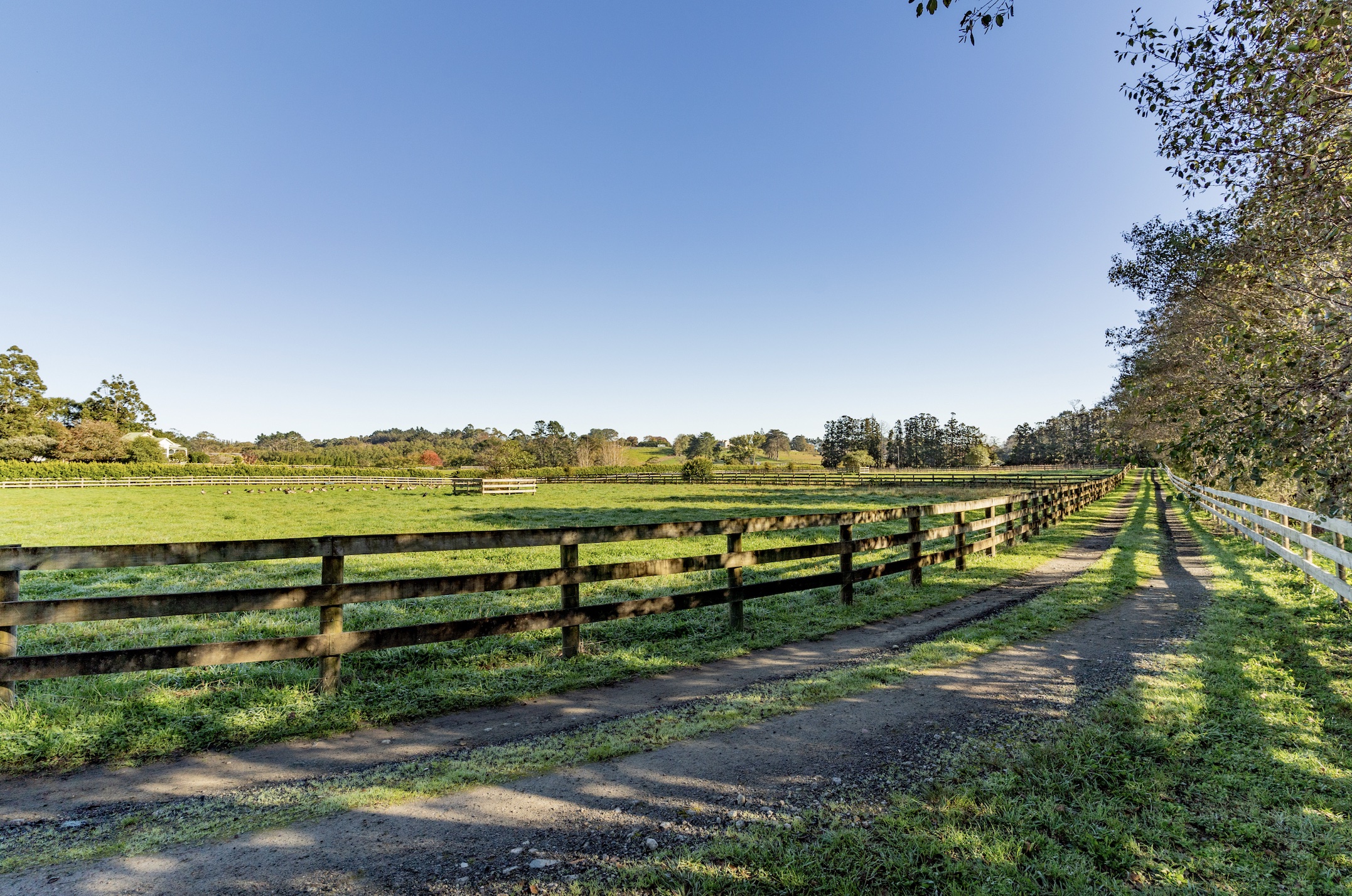 Sold 3/41 Farrand Road, Kumeu Aug 2024 | Barfoot & Thompson