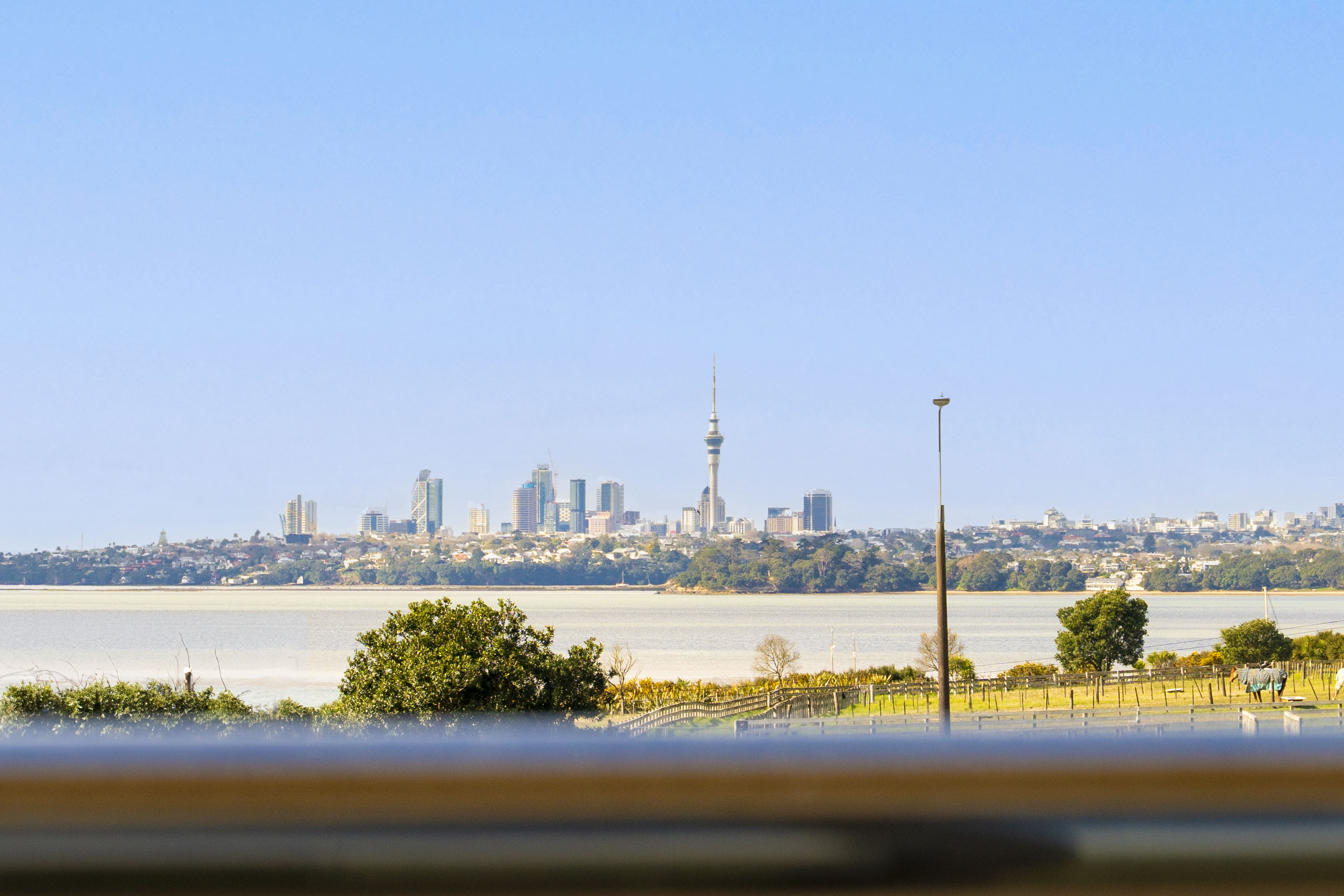 Wayne Guo, Residential Sales | Barfoot & Thompson