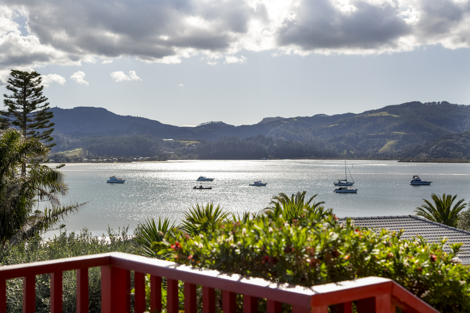 James Doole, Residential/Lifestyle Sales | Barfoot & Thompson