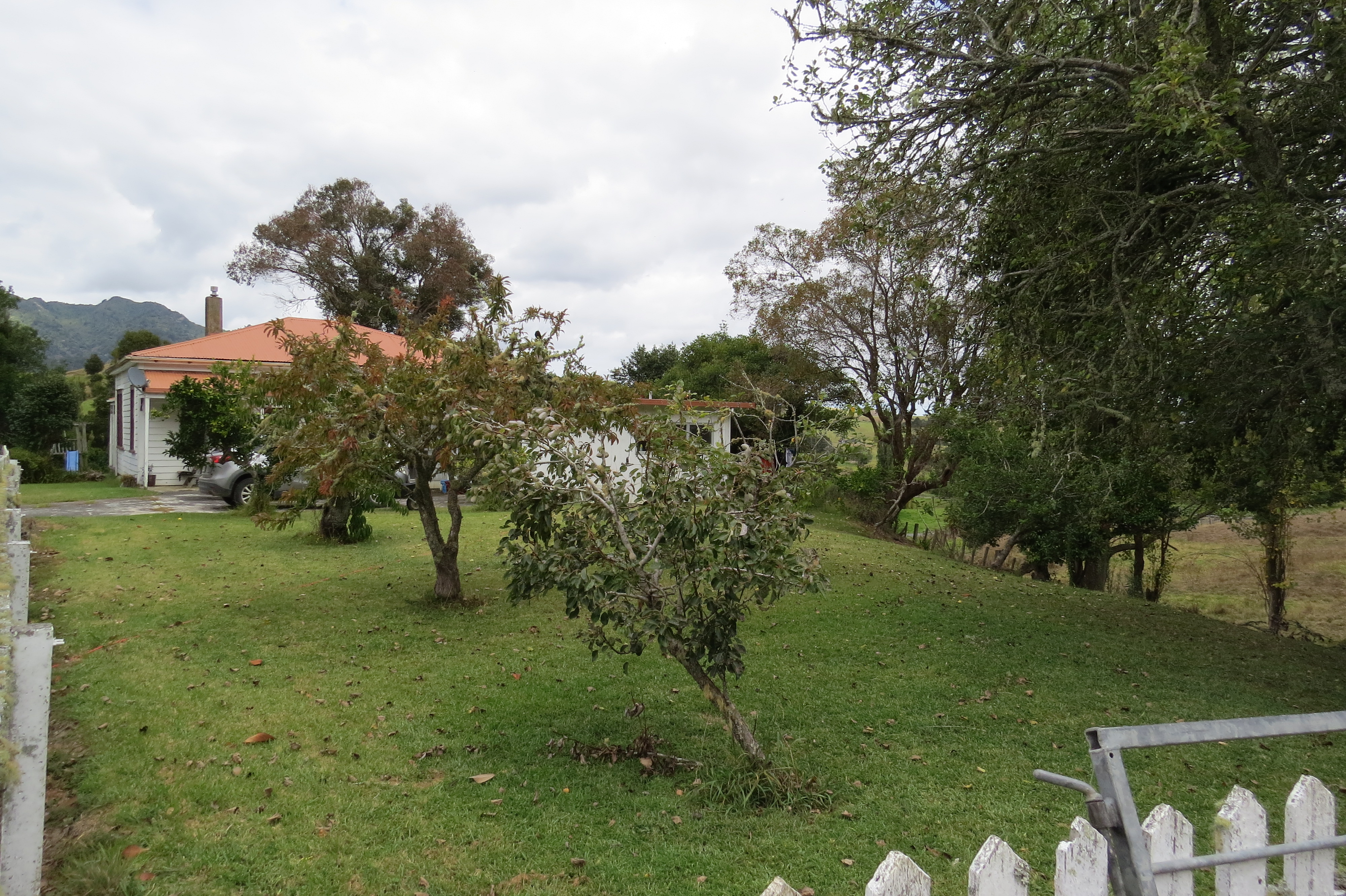 Rural Properties For Sale In New Zealand | Barfoot & Thompson