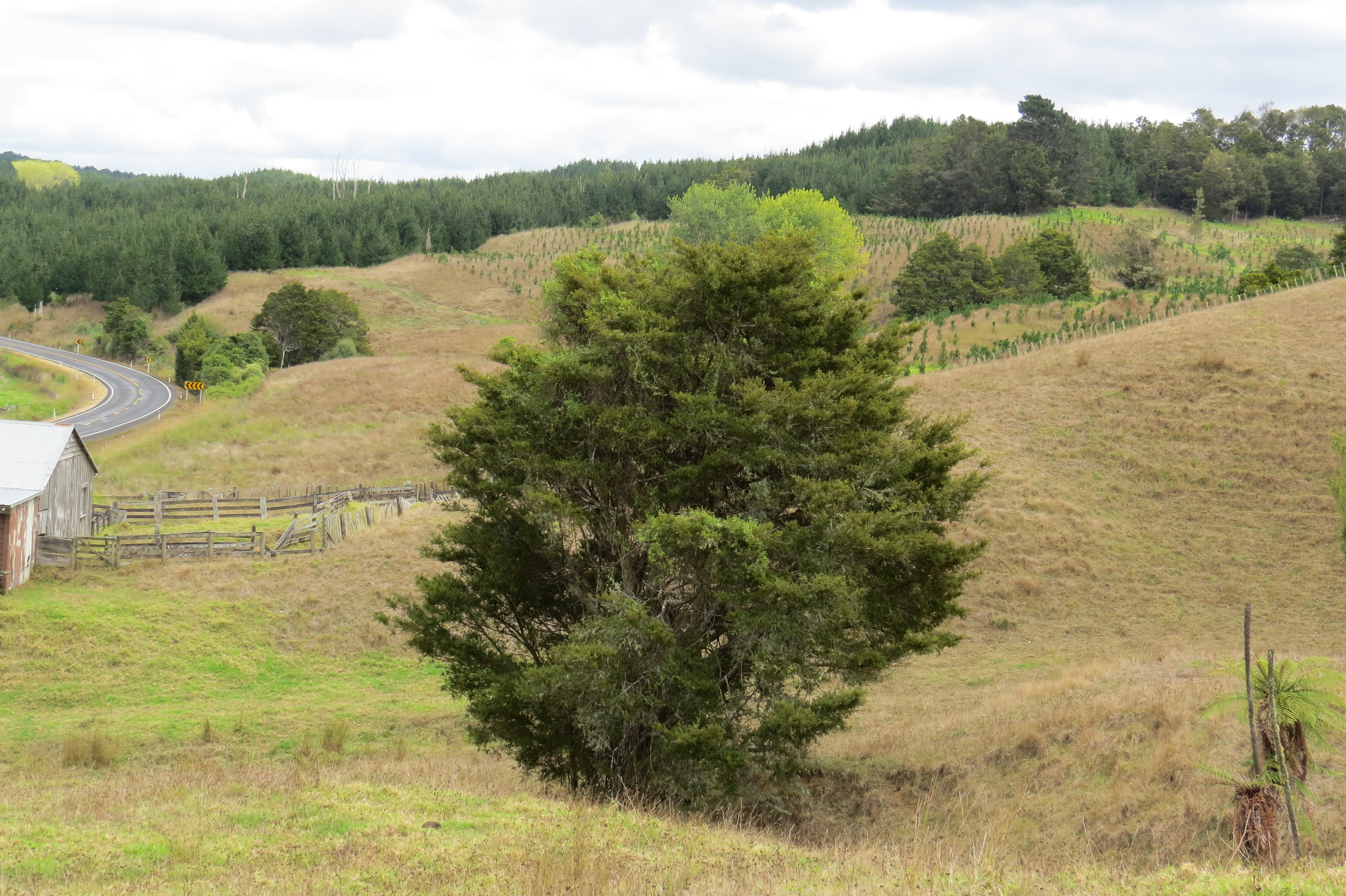 Rural Properties For Sale In New Zealand | Barfoot & Thompson