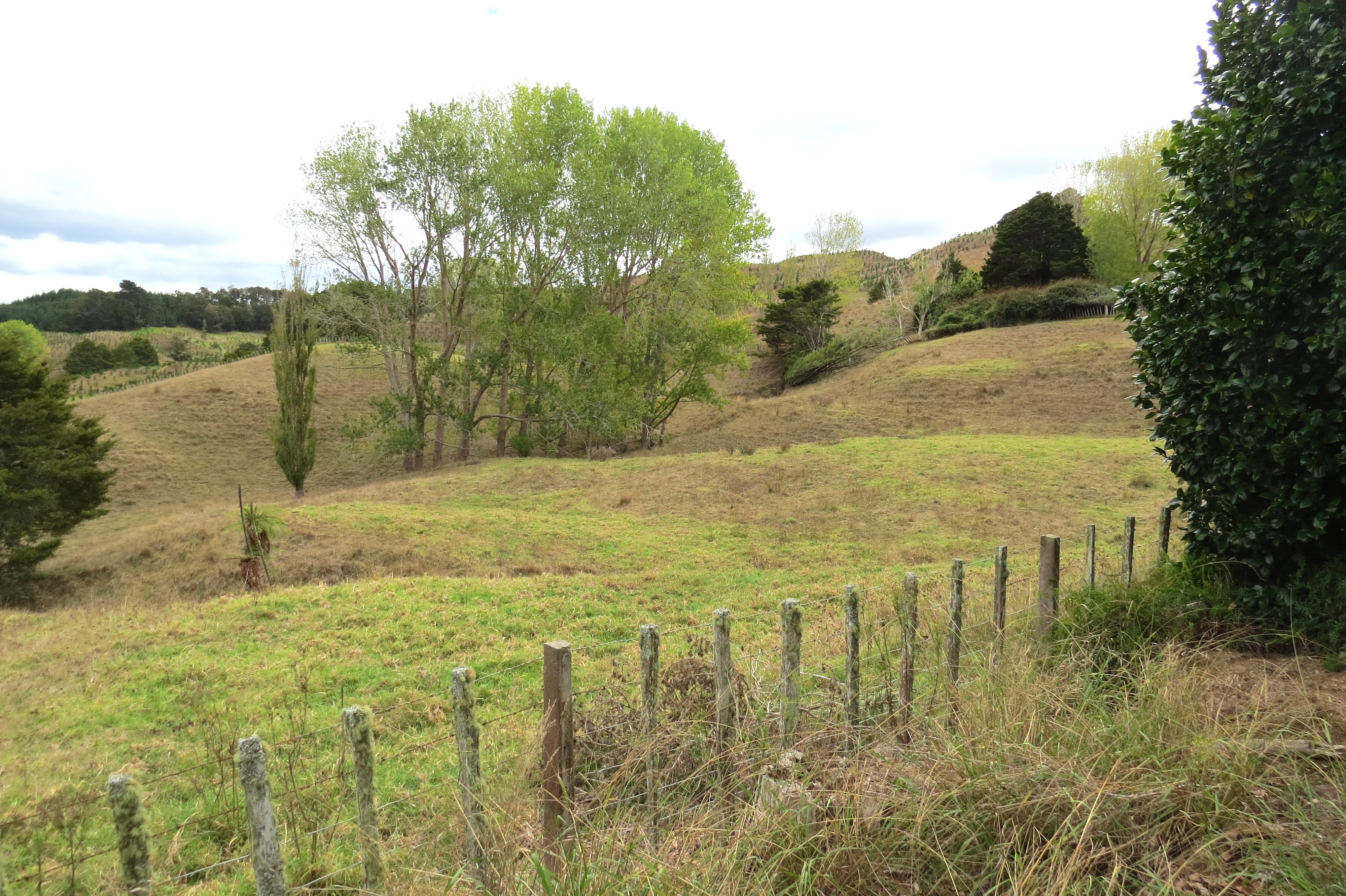 Rural Properties For Sale In New Zealand | Barfoot & Thompson
